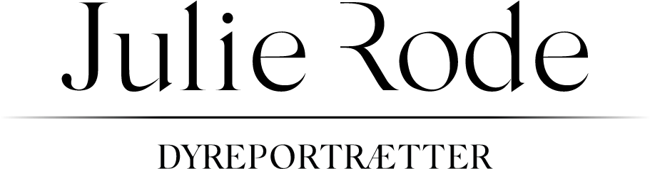 Forside - Tegnede Dyreportrætter